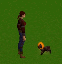 Category:Legendary pets | RuneScape Wiki | Fandom