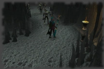 Defender of Varrock | RuneScape Wiki | Fandom