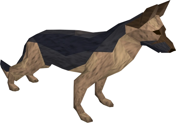 Dog (NPC) | RuneScape Wiki | Fandom