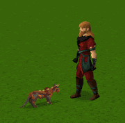 Hellcat | RuneScape Wiki | Fandom