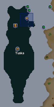 Anima Islands | RuneScape Wiki | Fandom