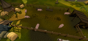 Falador farm | RuneScape Wiki | Fandom
