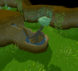 Altar of nature | RuneScape Wiki | Fandom