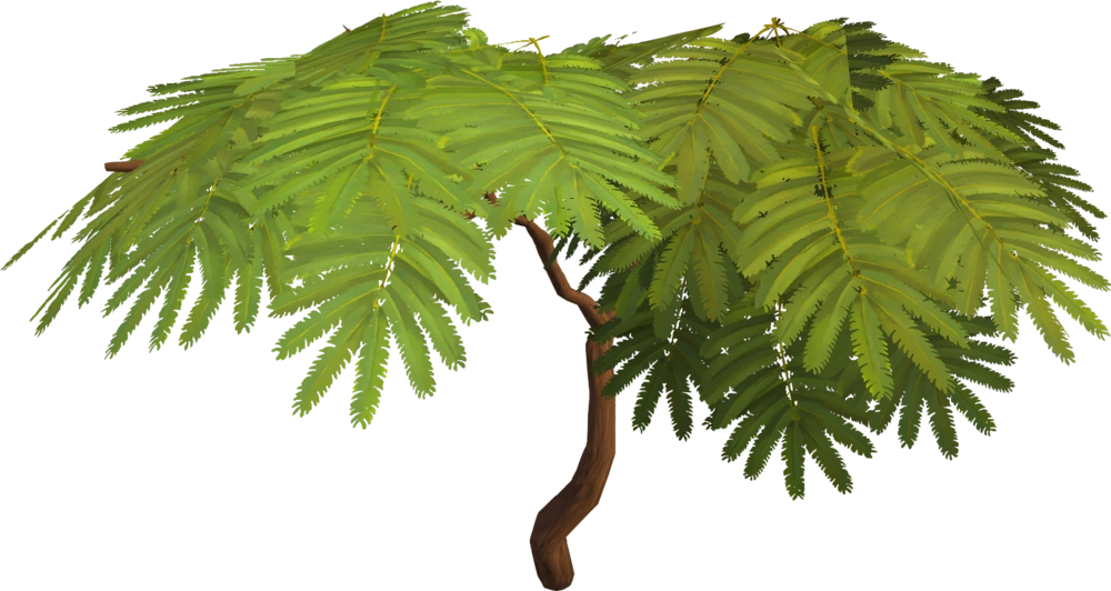 Árvore de acádia | RuneScape Wiki | Fandom