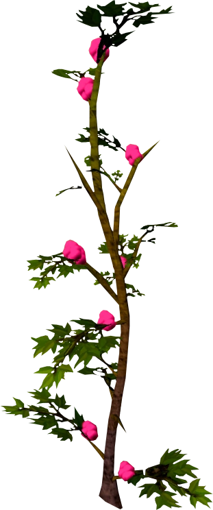 Rosaberry bush | RuneScape Wiki | Fandom