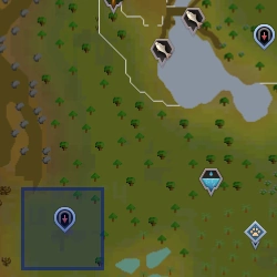 Twig (human) | RuneScape Wiki | Fandom