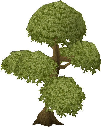 Yew tree | RuneWiki | Fandom