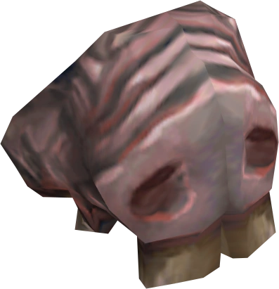 Mole nose | RuneScape Wiki | Fandom