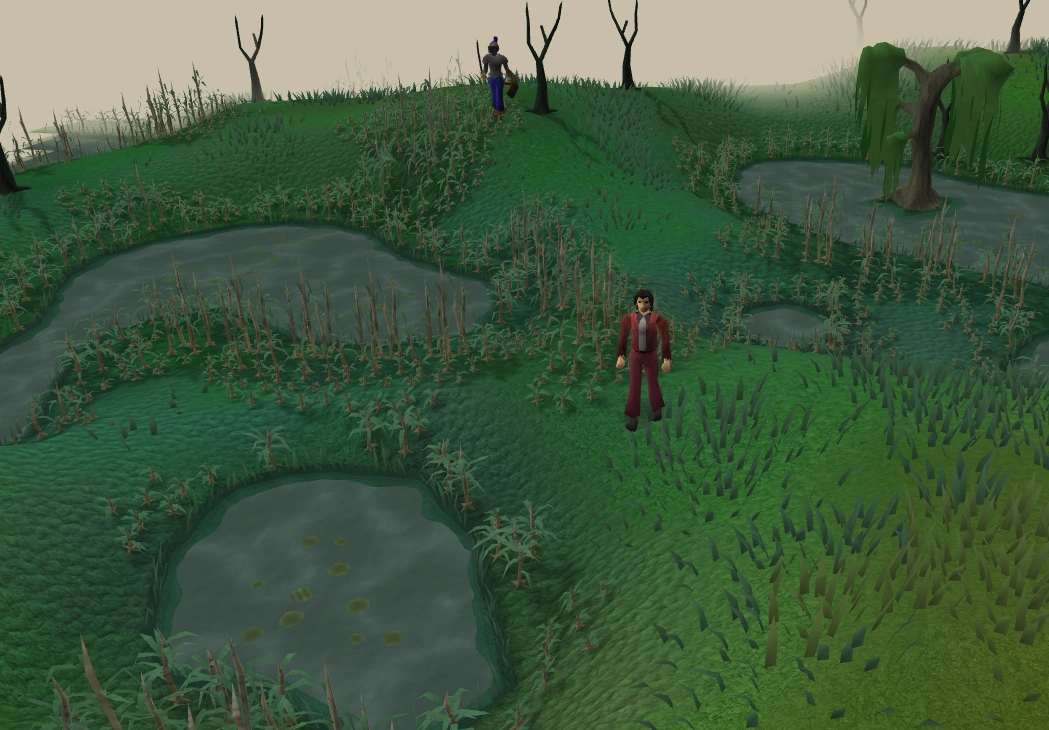 Lumbridge Swamp | RuneScape Wiki | Fandom