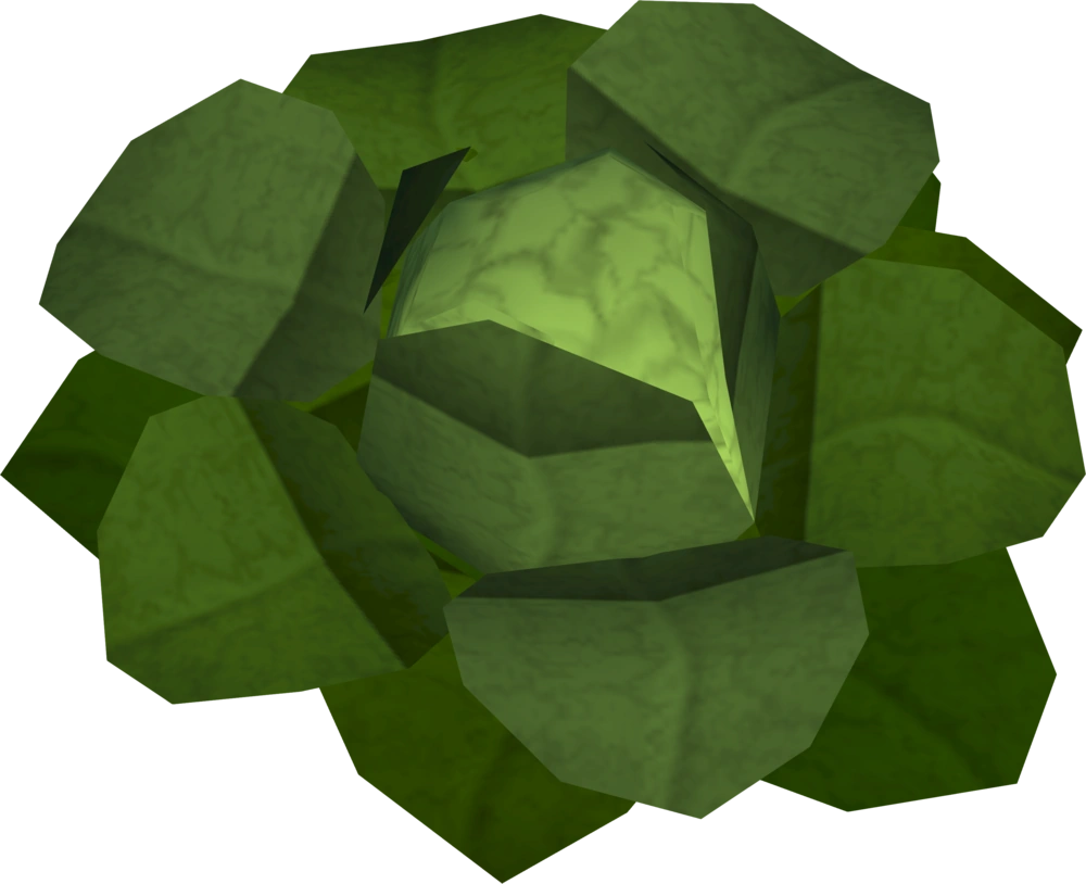 Pickled cabbage | RuneScape Wiki | Fandom