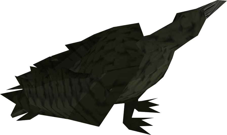 Crow | RuneScape Wiki | Fandom