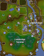 Lumbridge | RuneScape Wiki | Fandom
