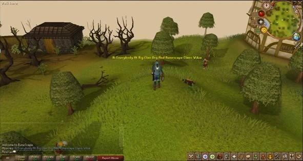 Clan:Big Clan Org | RuneScape Clans Wiki | Fandom