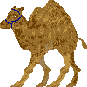 Camel | RuneScape Classic Wiki | Fandom
