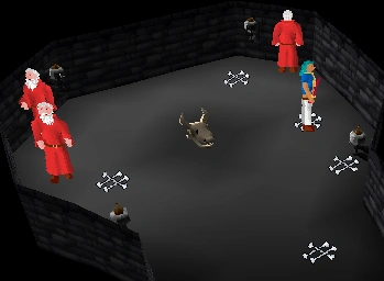 Chaos druid | RuneScape Classic Wiki | Fandom