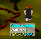 Vine | RuneScape Classic Wiki | Fandom