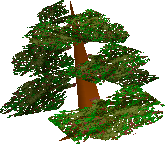Oak tree | RuneScape Classic Wiki | Fandom