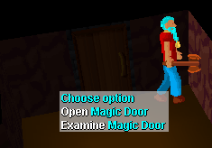 Magic Door | RuneScape Classic Wiki | Fandom