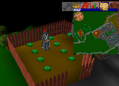 Cabbage | RuneScape Classic Wiki | Fandom