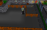 Varrock Museum | RuneScape Classic Wiki | Fandom