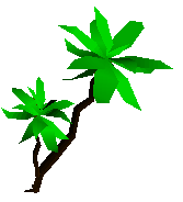 Plant | RuneScape Classic Wiki | Fandom