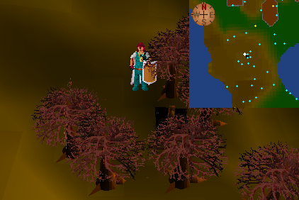 Taverley dungeon | RuneScape Classic Wiki | Fandom