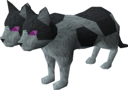 Two-headed cat | RuneScape Fan Fiction Wiki | Fandom