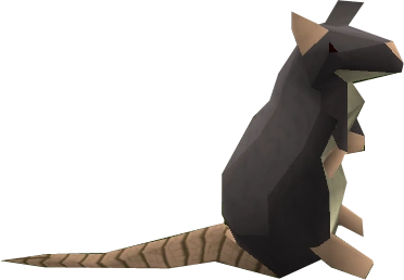 Transmogrification | RuneScape Fan Fiction Wiki | Fandom