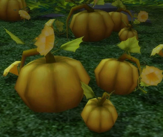 Unripened Pumpkin - Runes of Magic Wiki