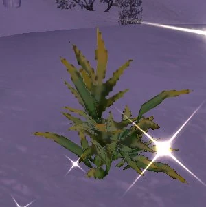 Herb (Object) - Runes of Magic Wiki