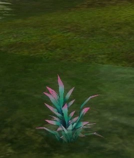 Antidote Herb (Object) - Runes of Magic Wiki