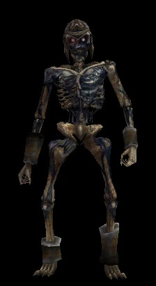 Undead Repairman - Runes of Magic Wiki