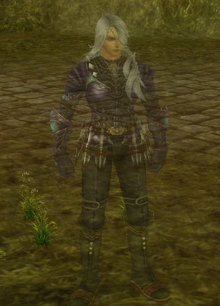 Lost Past - Runes of Magic Wiki