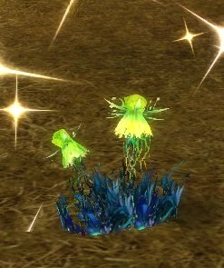 Undeliverable Flowers - Runes of Magic Wiki