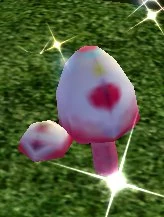 Kawa Mushroom (Object) - Runes of Magic Wiki