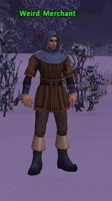 Weird Merchant - Runes of Magic Wiki