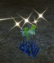 White Bell Flower (Object) - Runes of Magic Wiki