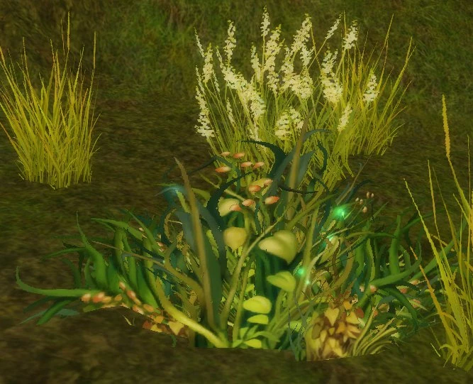 Explosive Fruit - Runes of Magic Wiki