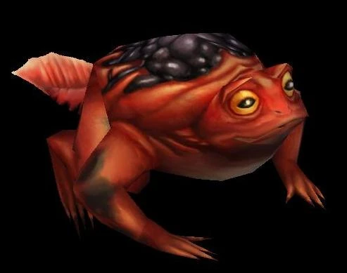 Red-tailed Frog - Runes of Magic Wiki