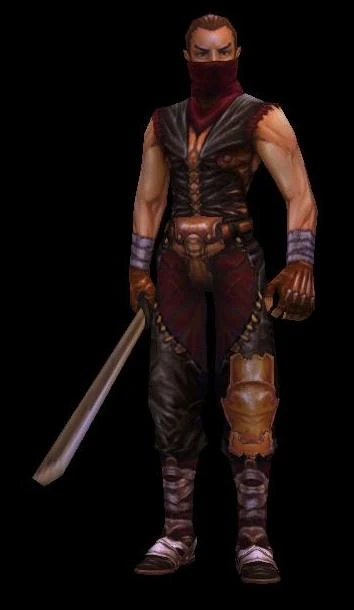 Treasure-Hunting Thief - Runes of Magic Wiki