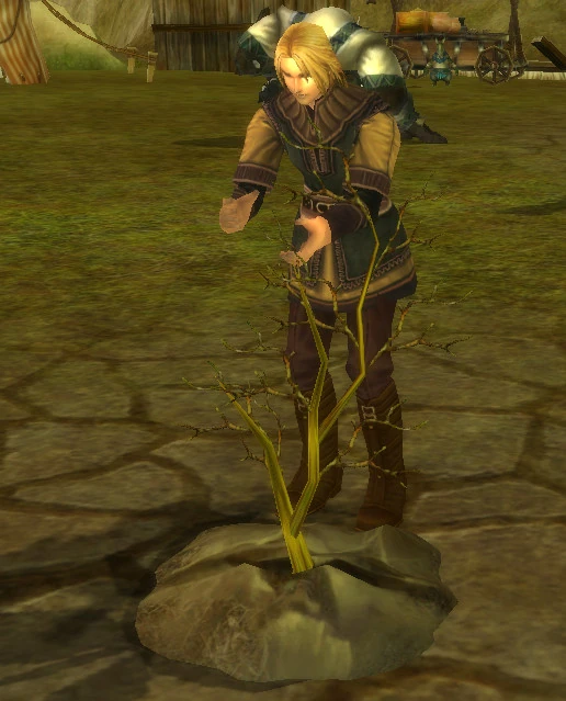 A New Attempt - Runes of Magic Wiki