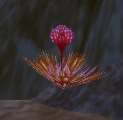 Small Red Flower - Runes of Magic Wiki