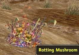 Straw Mushroom - Runes of Magic Wiki