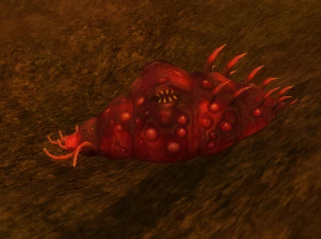 Bloodthirsty Maggot - Runes of Magic Wiki