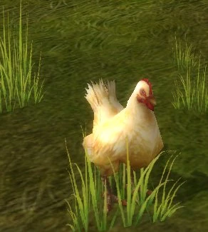 Ranch Hen - Runes of Magic Wiki