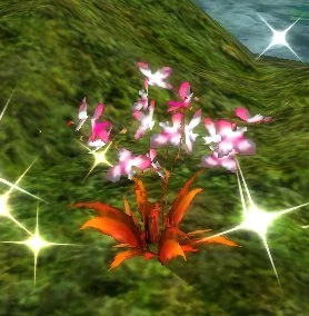 Real Phantom Flower - Runes of Magic Wiki