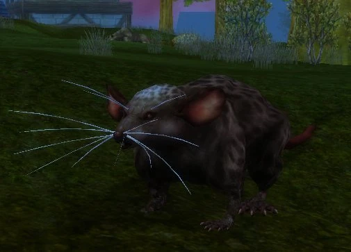 Giant Field Mouse - Runes of Magic Wiki