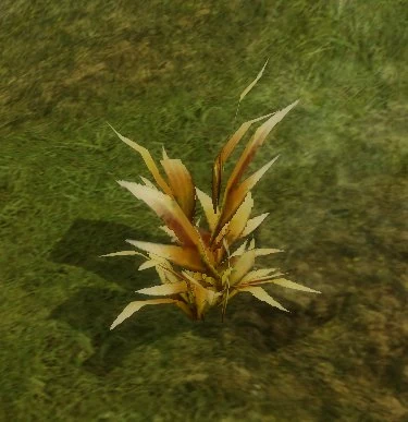 A Pot of Potion - Runes of Magic Wiki