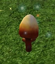 Dark Brown Mushroom (Object) - Runes of Magic Wiki