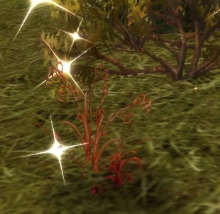 Imitating Giant Apes - Runes of Magic Wiki